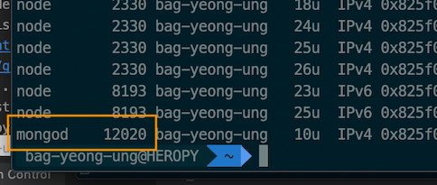 이미 사용 중인 MongoDB 인스턴스 종료하기 | HEROPY.DEV